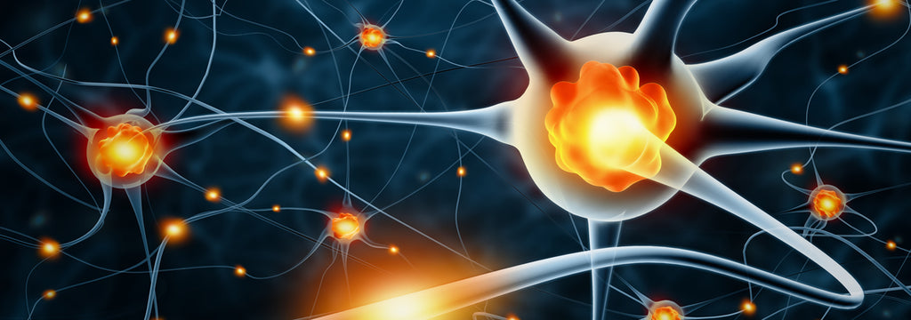 PERIPHERAL NERVES: The Slowest Healing Tissue – NUPHORIA cm